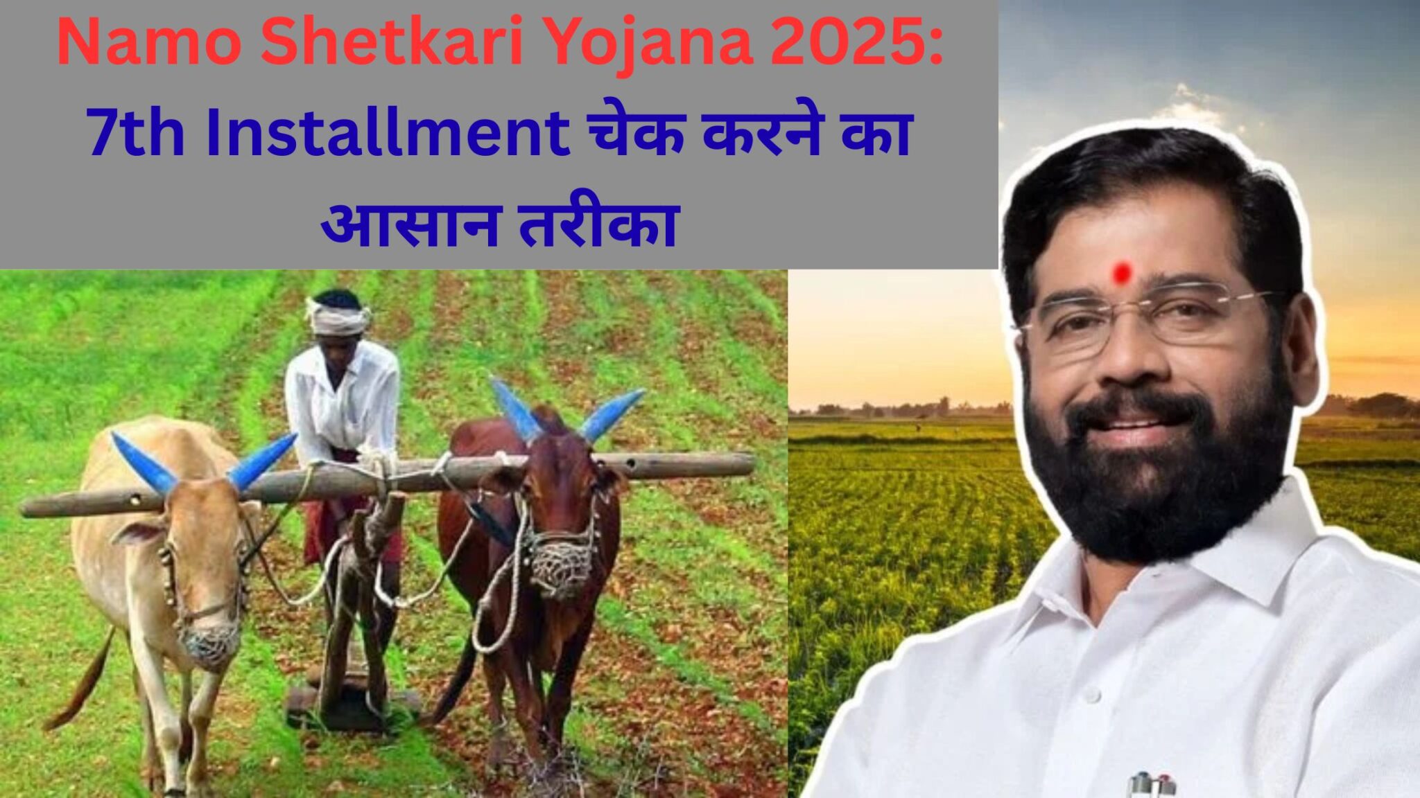Namo Shetkari Yojana 2025: 7th Installment चेक करने का आसान तरीका ...